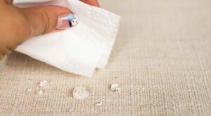 How To Use Waterproofing Spray Or Wash On Fabric?