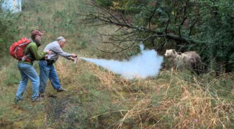 Tips To Properly Carrying And Using Bear Spray - Outdoor Zone
