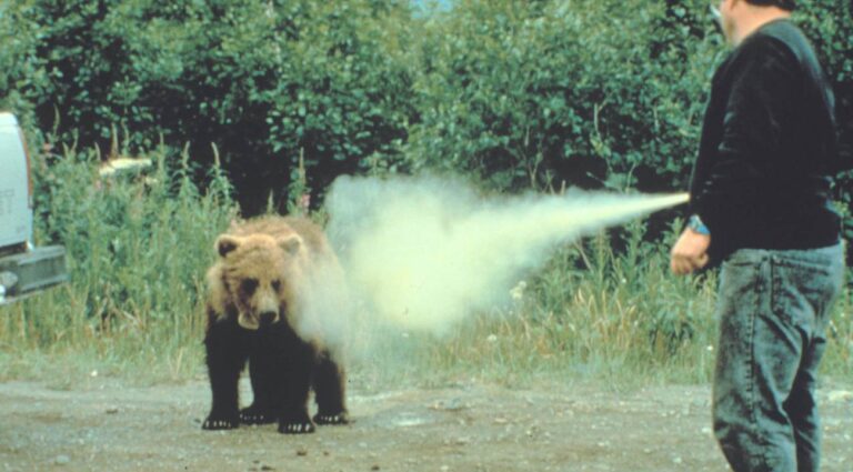 Tips To Properly Carrying And Using Bear Spray - Outdoor Zone