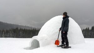 How to Survive in the Extreme Cold: 9 Essential Tips