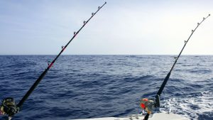 The Complete Beginner's Guide to Saltwater Fishing - Outdoor Zone